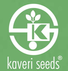 Kaveri Seed Company Limited Buyback 2019 Dates, Details & Discussion